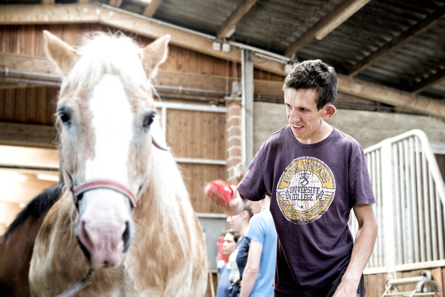 LWL | Geduld und Gehorsam - Erzähl mir was vom Pferd!