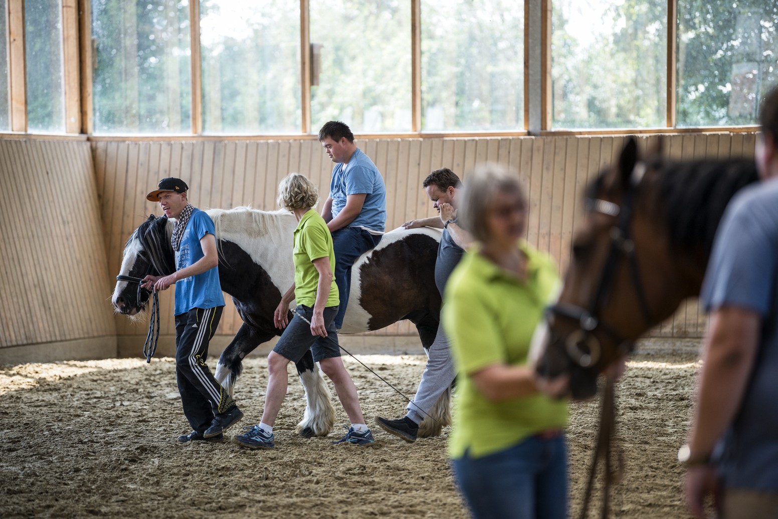 LWL | Geduld und Gehorsam - Erzähl mir was vom Pferd!