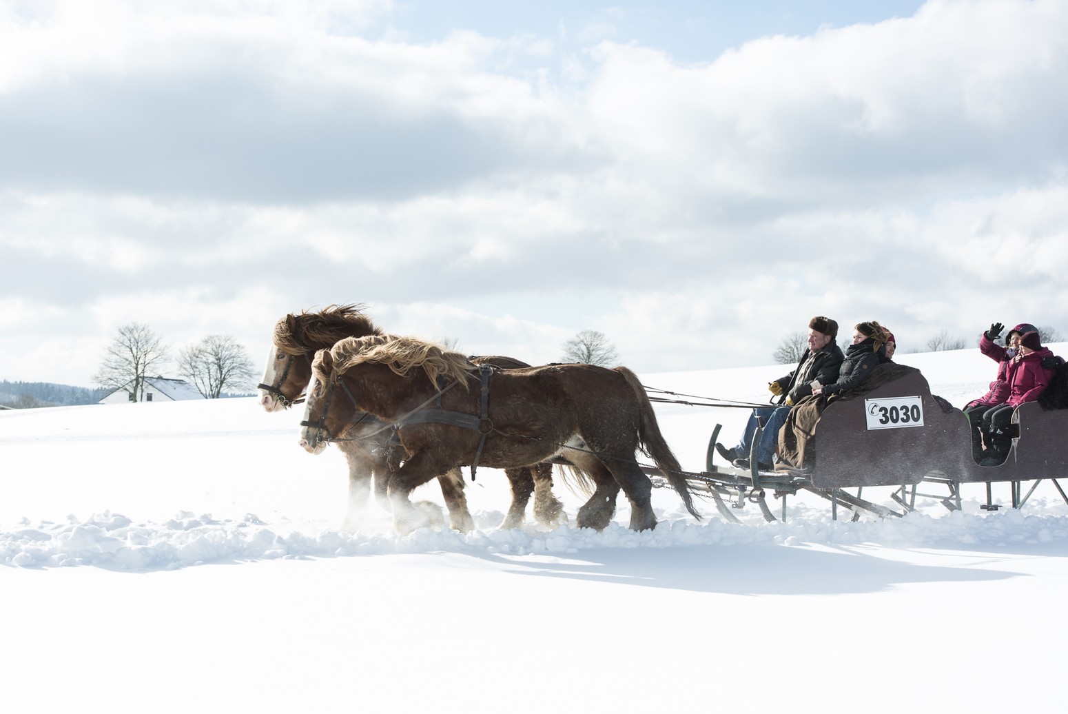 LWL | Zügel und Zöpfe - Erzähl mir was vom Pferd!