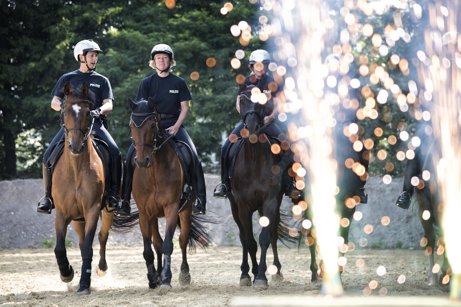LWL | Geduld und Gehorsam - Erzähl mir was vom Pferd!