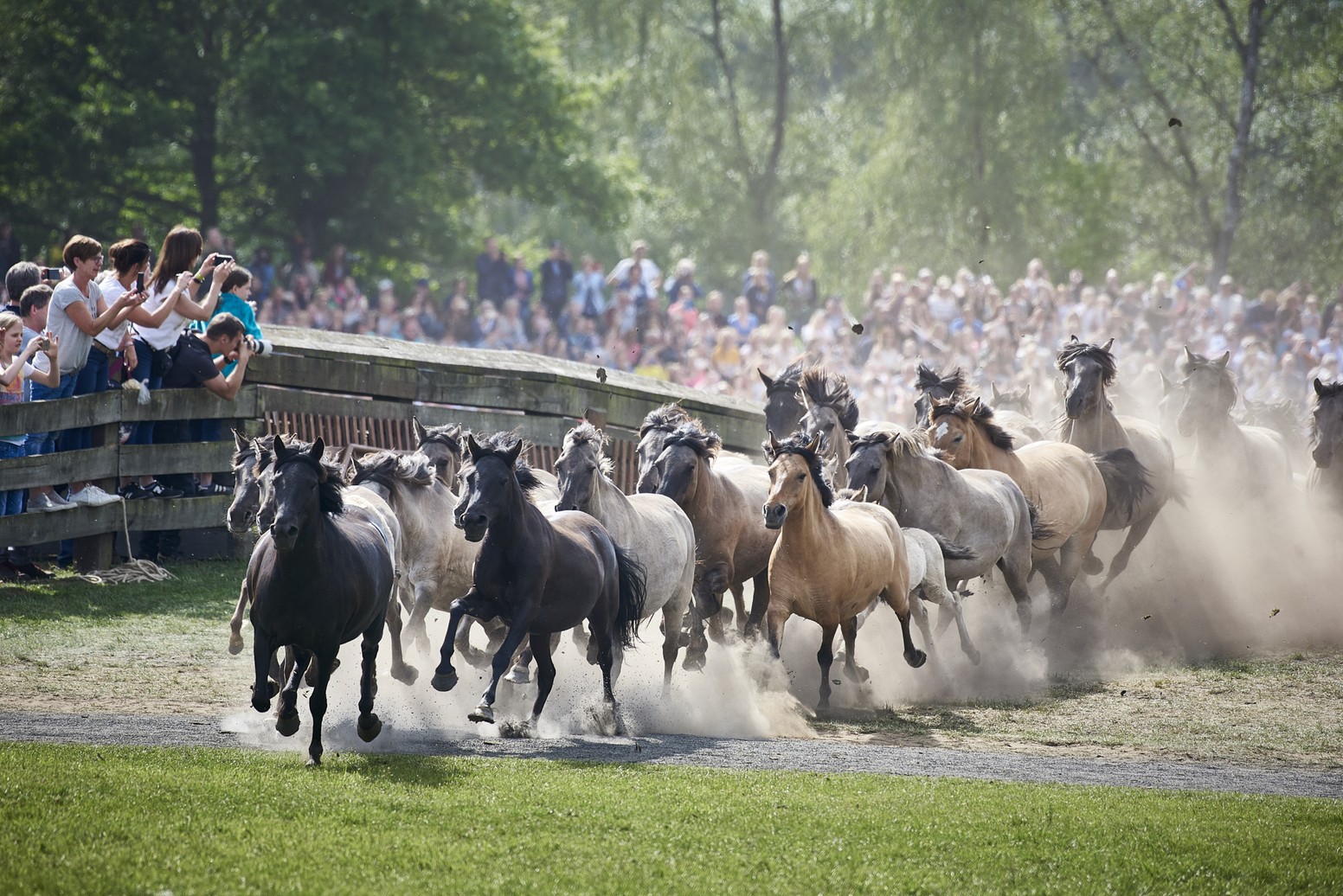 LWL | Tempo und Tradition - Erzähl mir was vom Pferd!